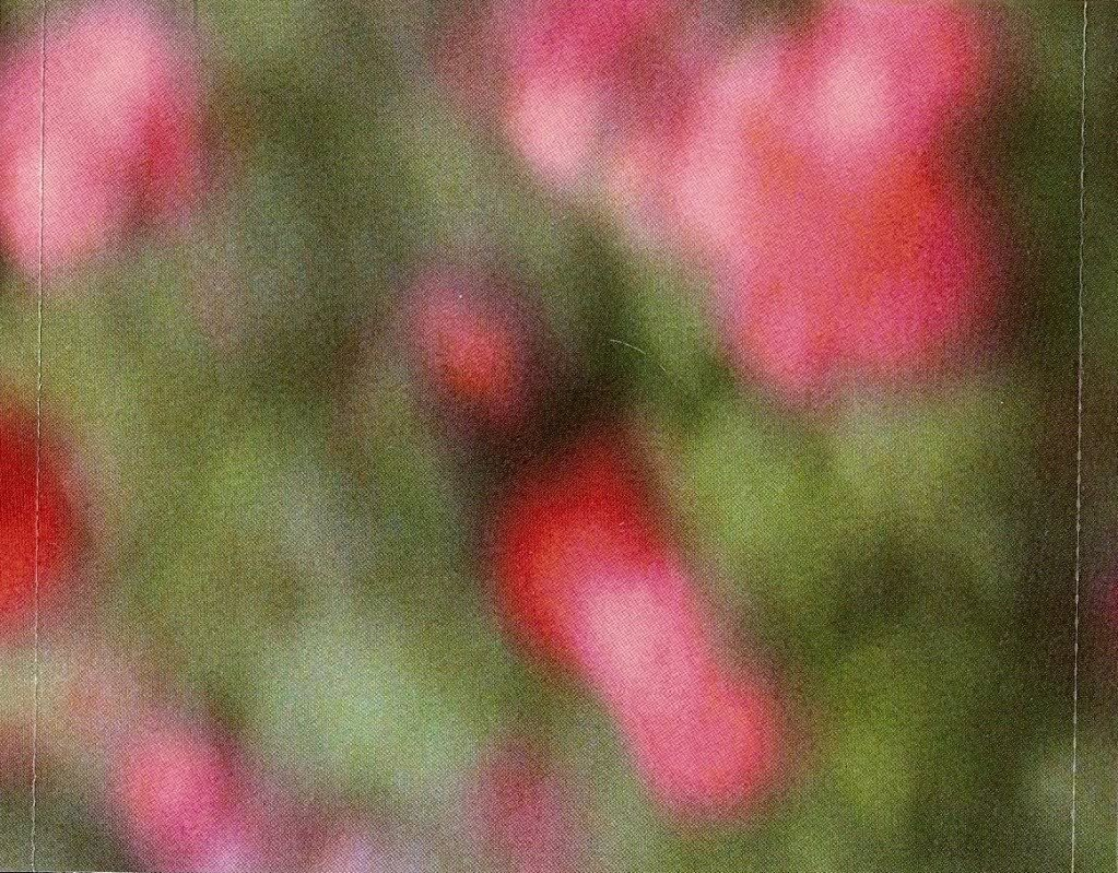 Picture of Extraordinary Machine