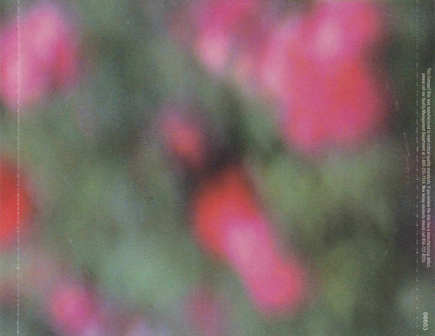 Picture of Extraordinary Machine