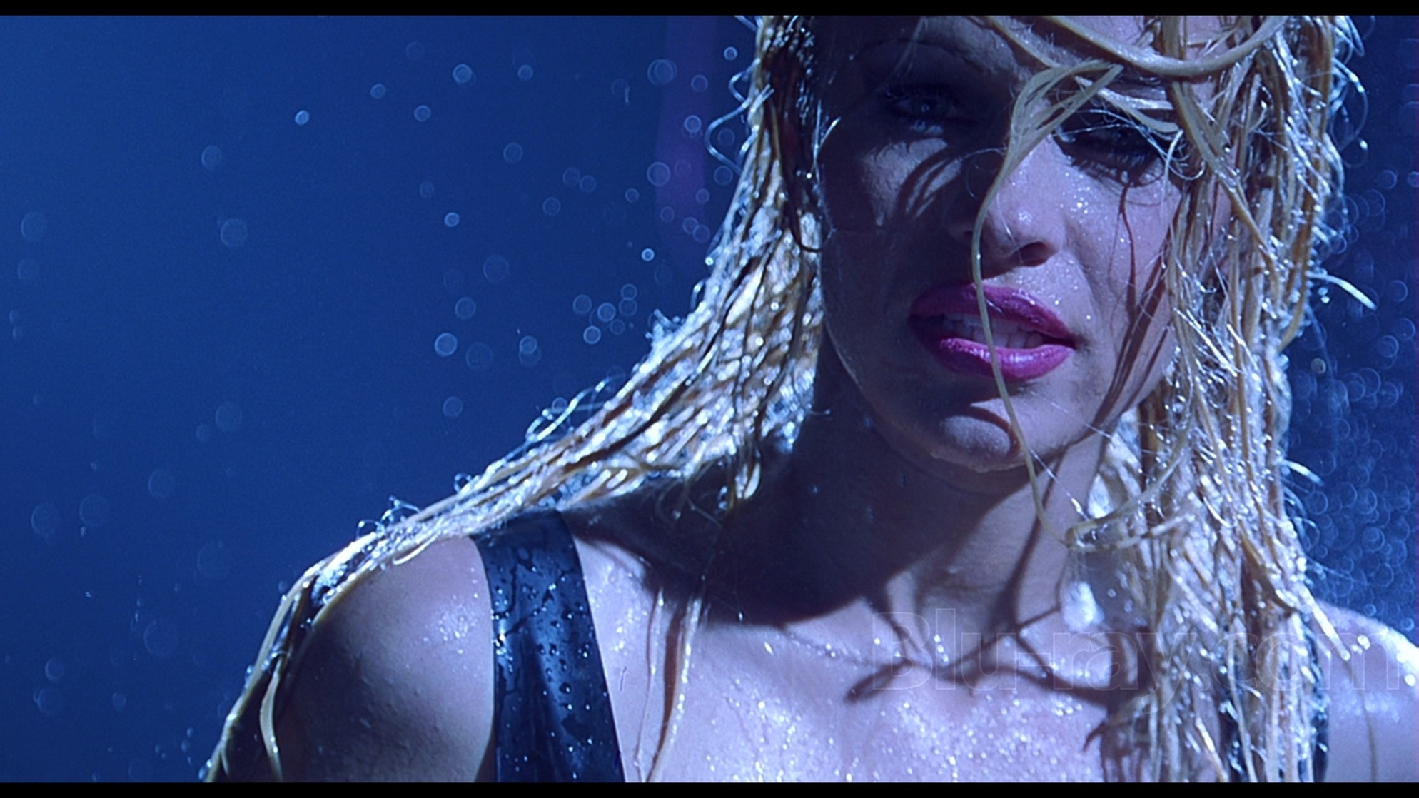 Picture of Barb Wire