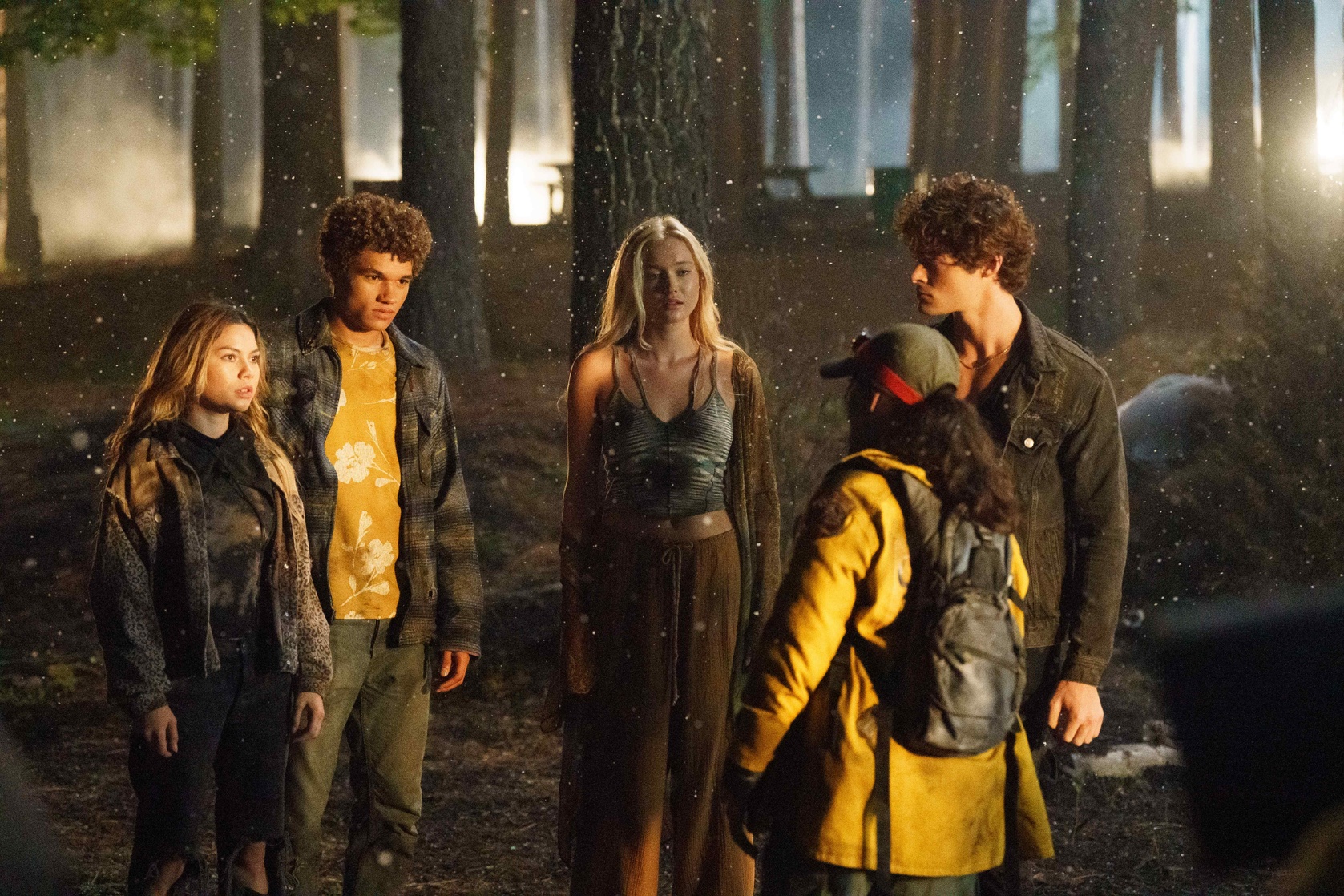 Picture of Wolf Pack