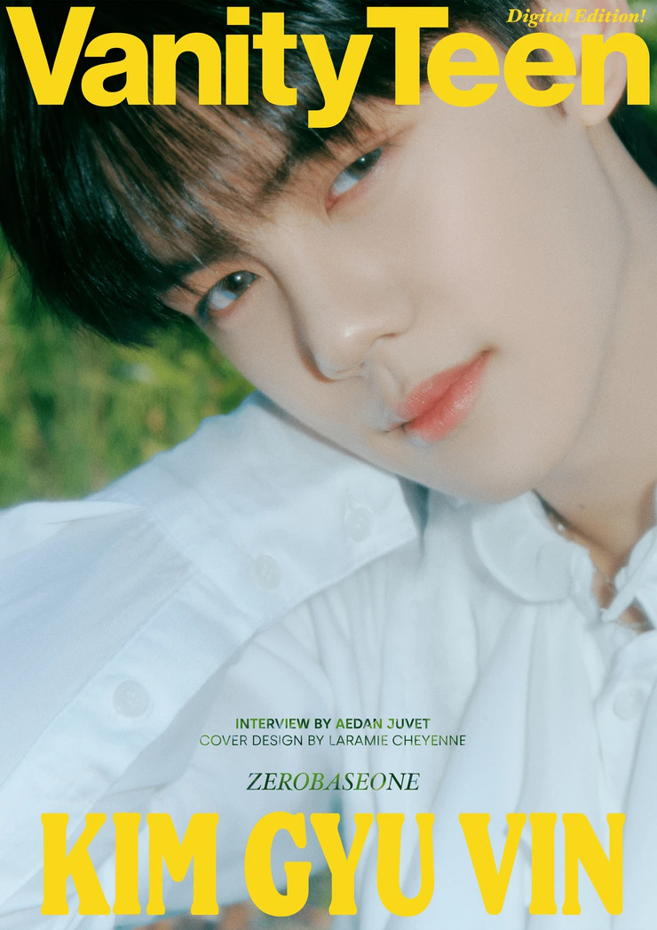 Picture of Kim Gyu-vin