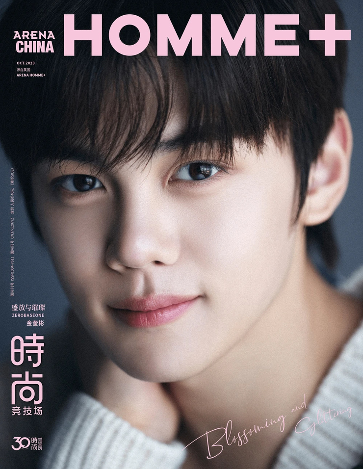 Picture of Kim Gyu-vin
