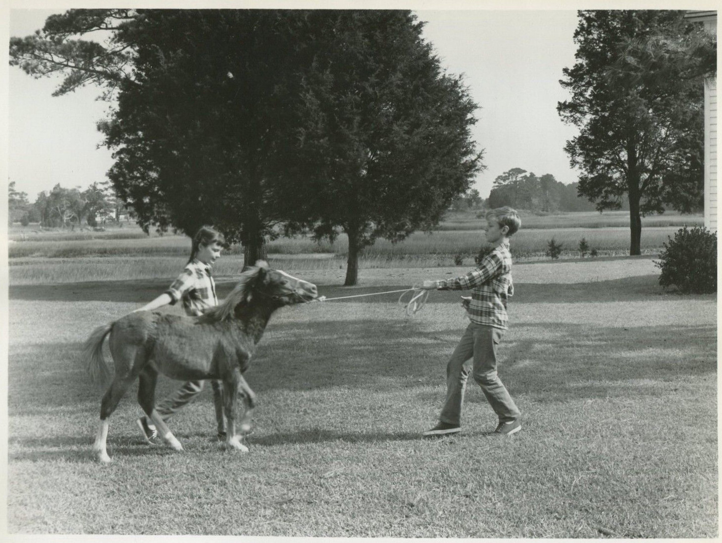 Pam Smith, David Ladd