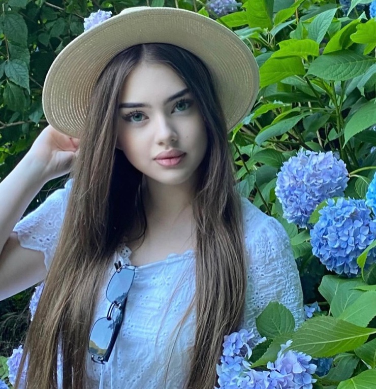 Picture of Asla Nova