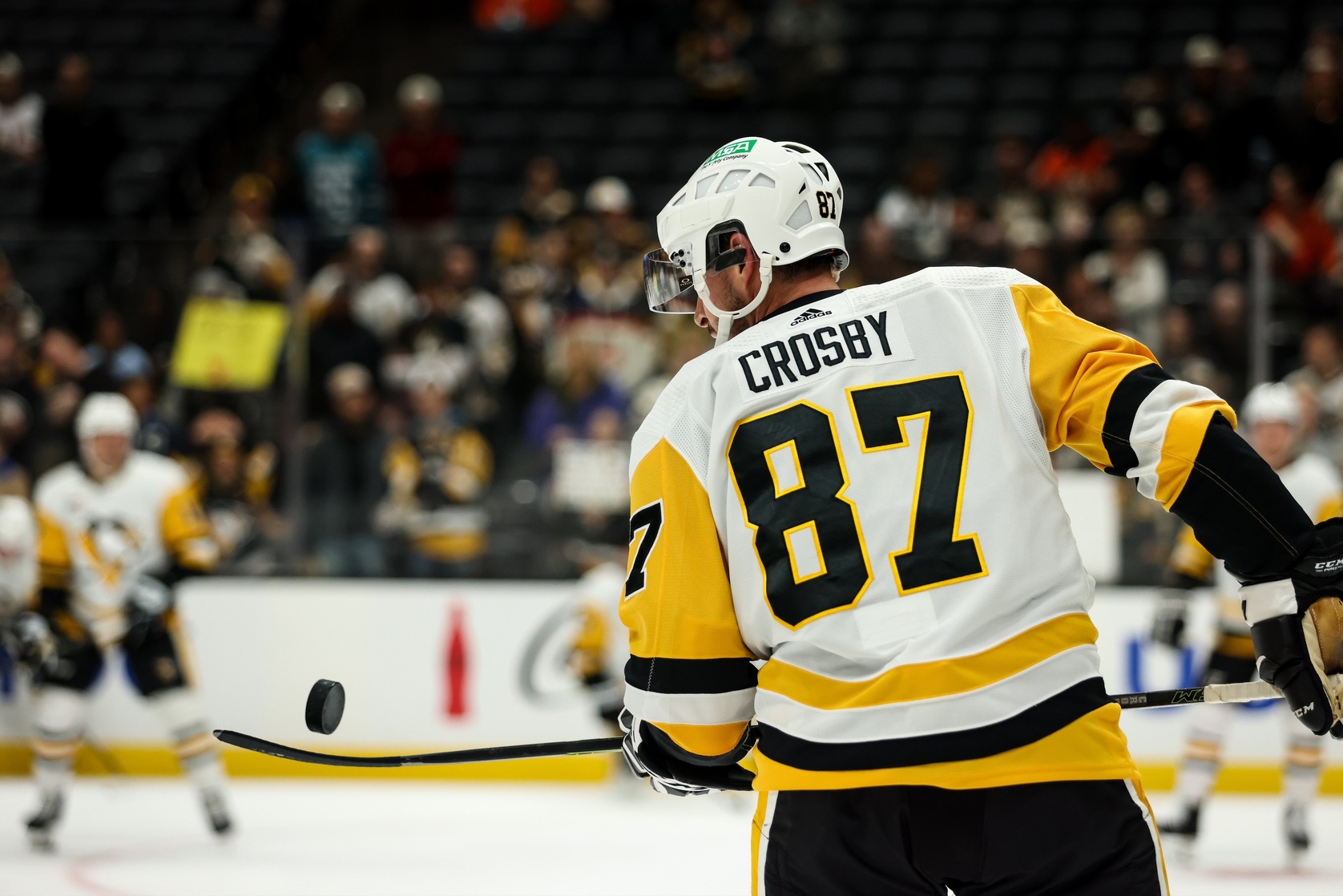 Sidney Crosby picture