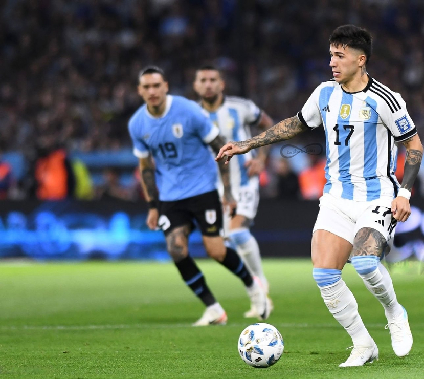 Picture of Enzo Fernández