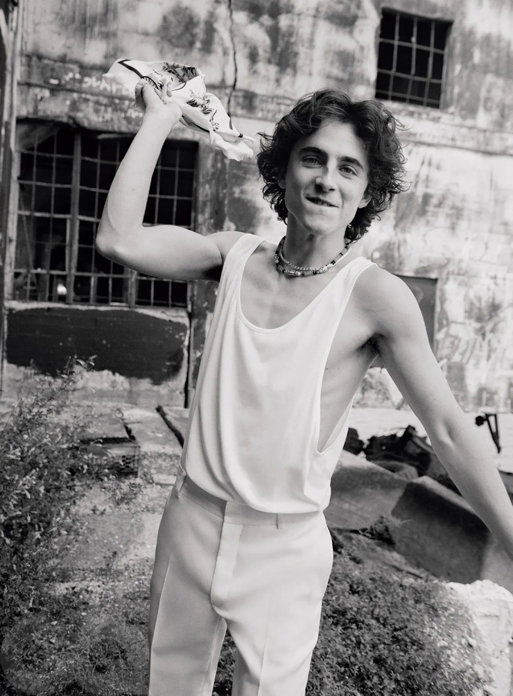 Picture of Timothée Chalamet