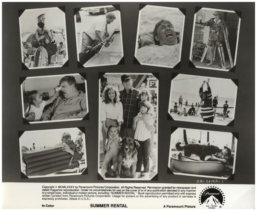 Summer Rental (1985)