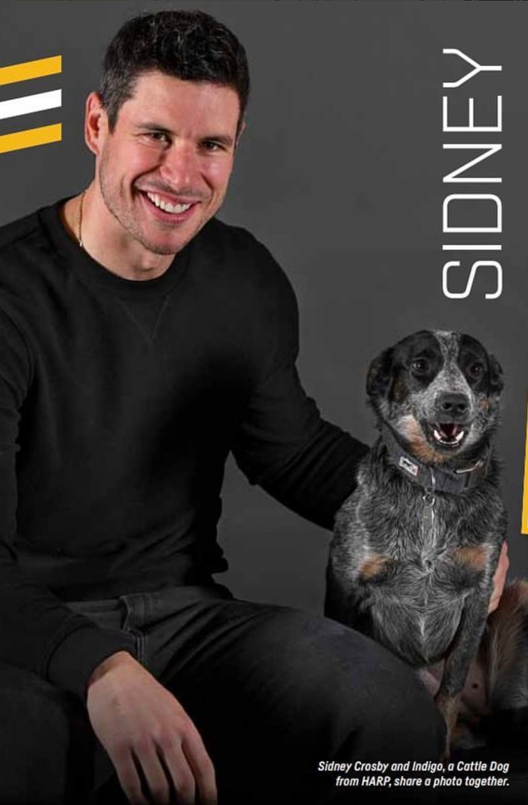 Picture of Sidney Crosby