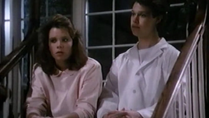 Not Quite Human (1987) image