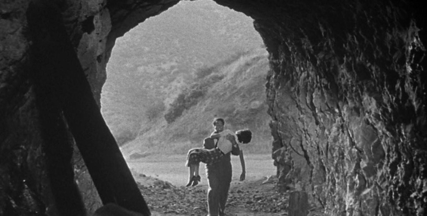 Picture of Invasion of the Body Snatchers (1956)