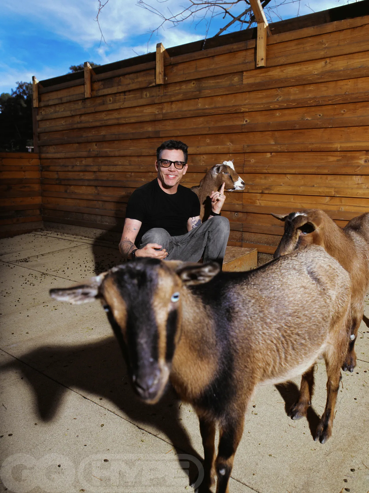 Picture of Steve-O