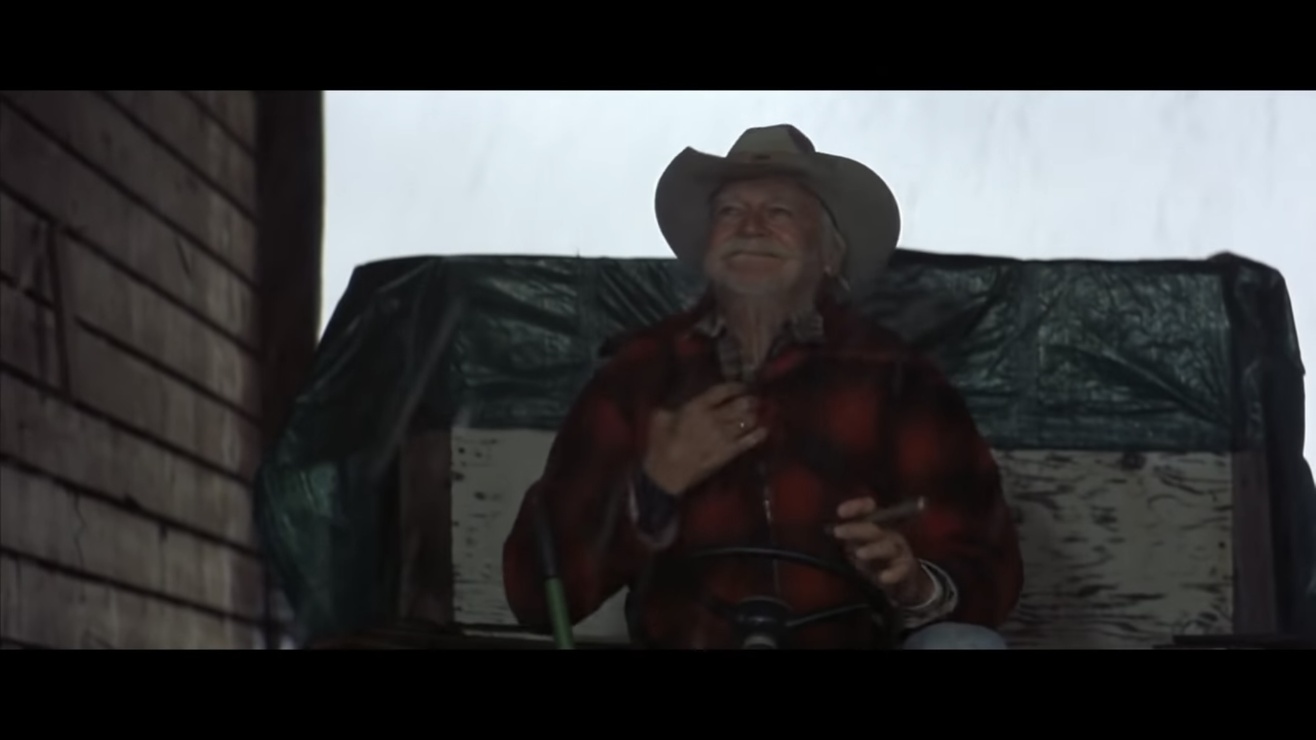 Picture of The Straight Story