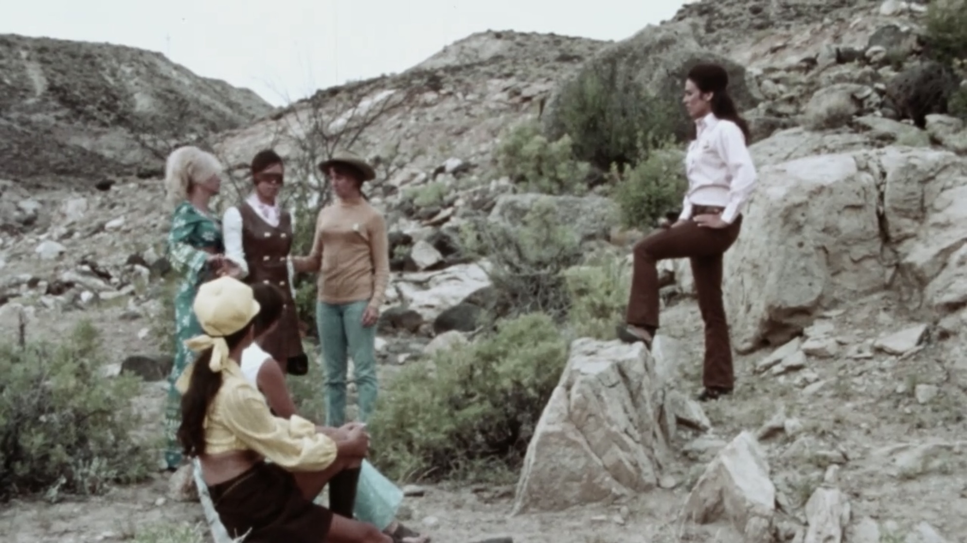 Image of The Female Bunch