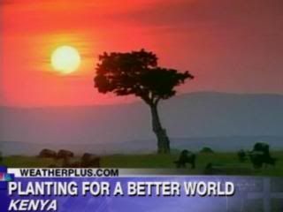 Picture of NBC Weather Plus