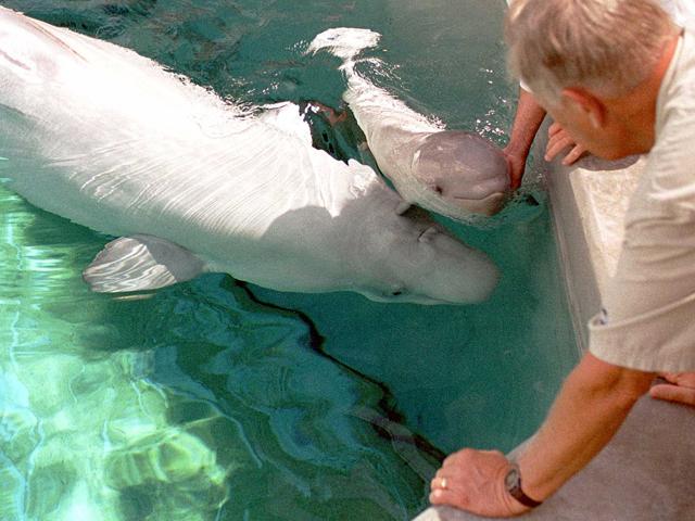 Picture of NBC Weather Plus