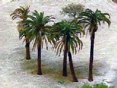 Picture of NBC Weather Plus