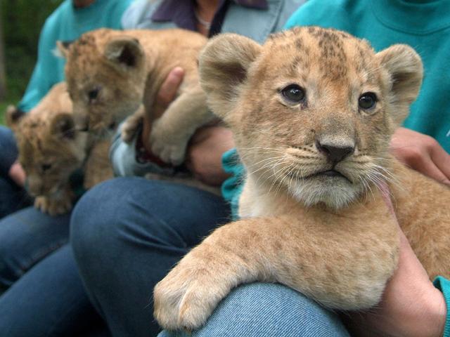 Picture of NBC Weather Plus