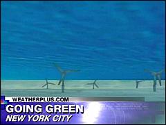 Picture of NBC Weather Plus