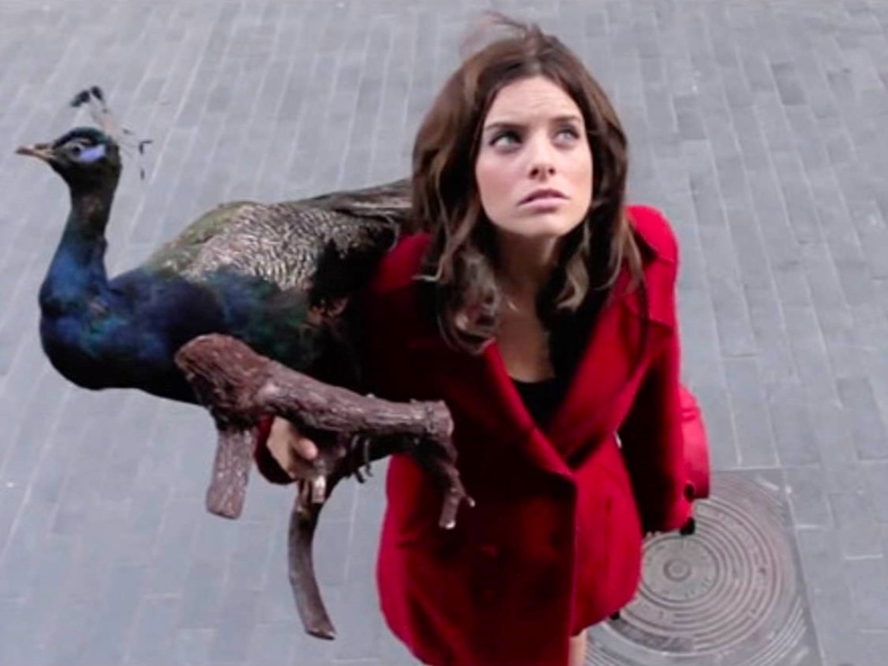 Picture of Hili Yalon