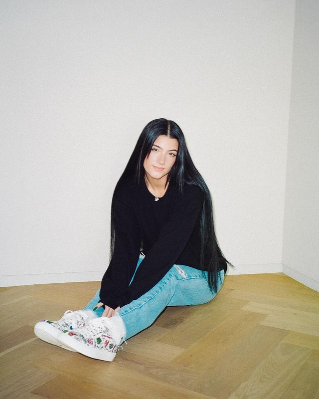 Picture of Charli D'Amelio