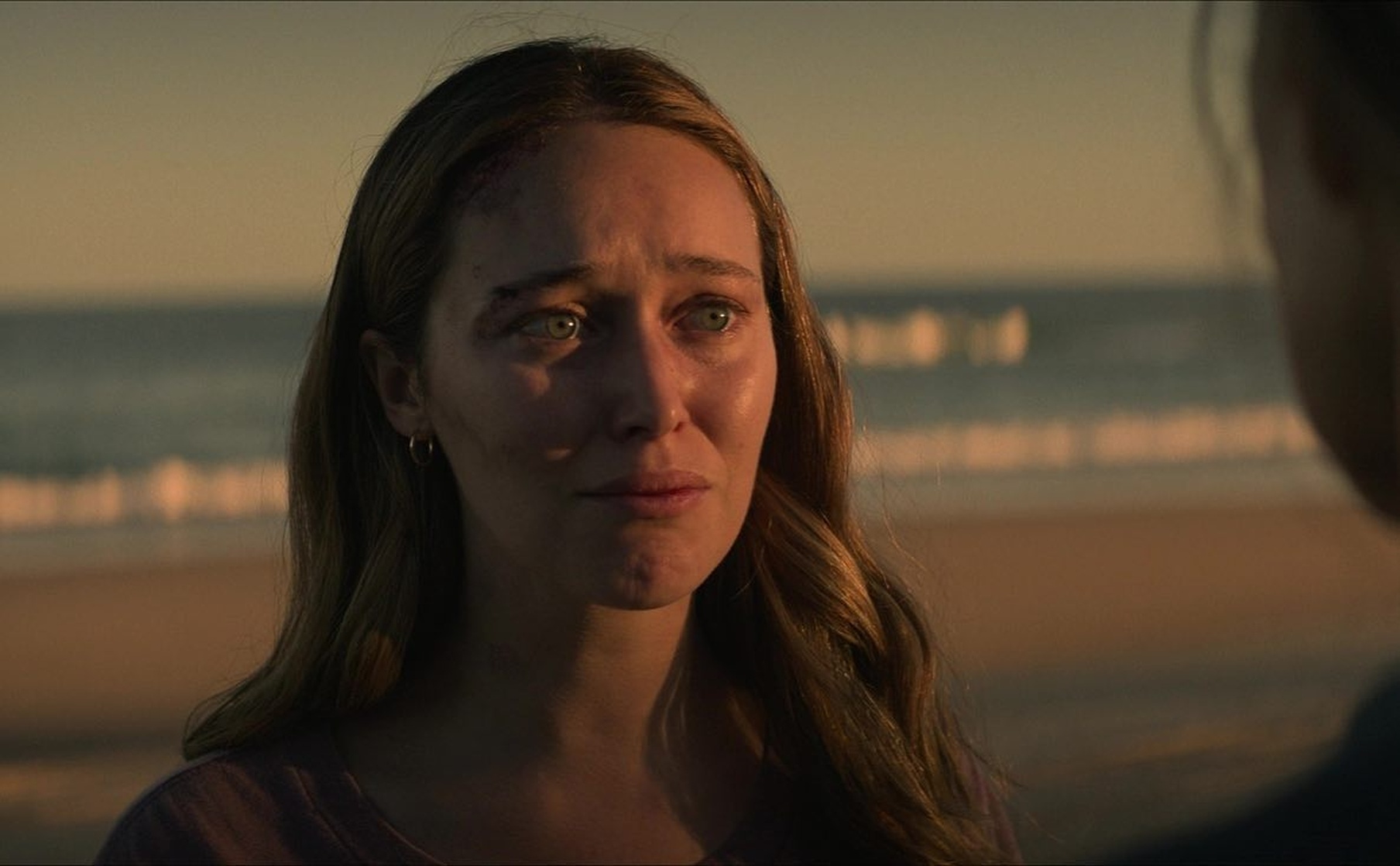 Picture of The Lost Flowers of Alice Hart