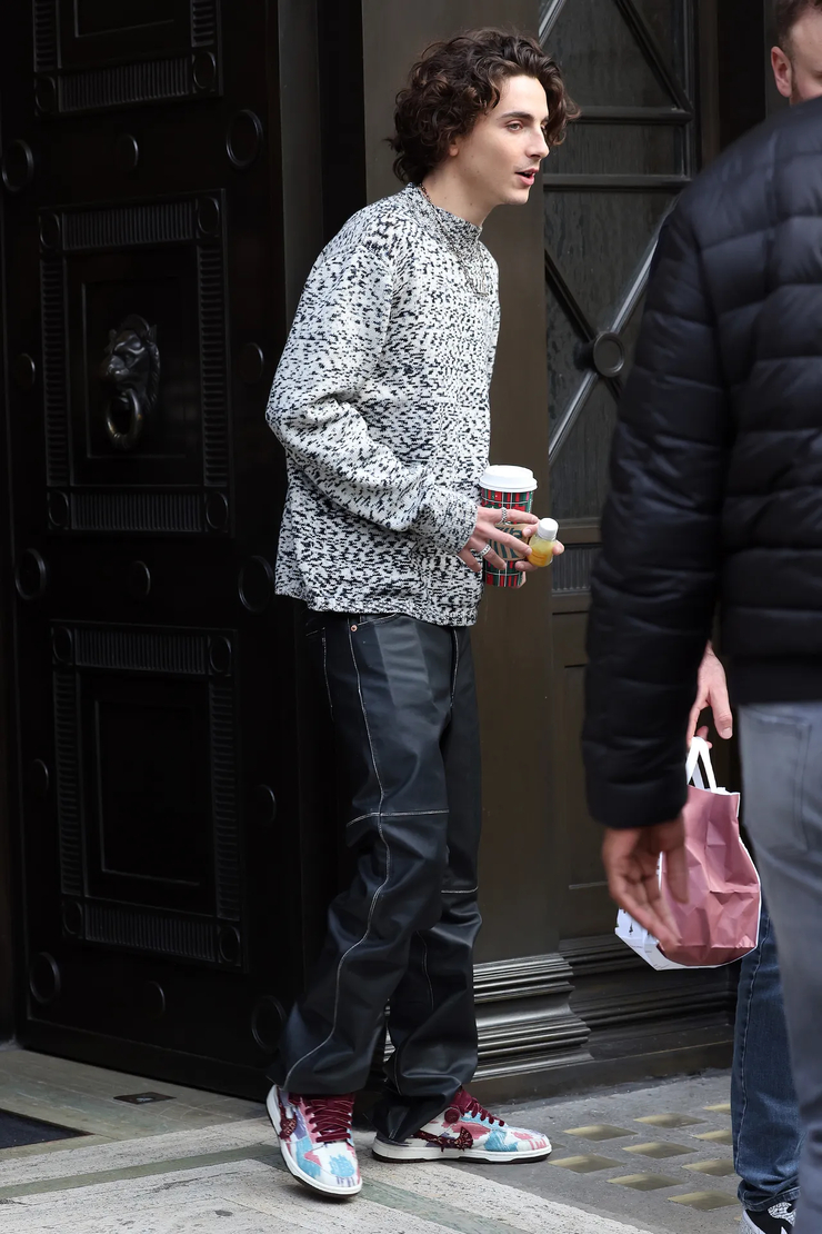 Picture of Timothée Chalamet