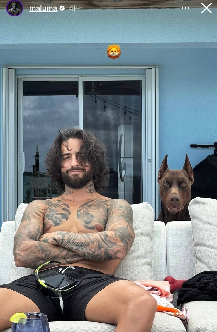 Maluma picture