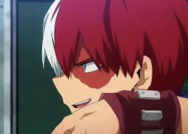 MHA- Todoroki Shoto, official anime and manga