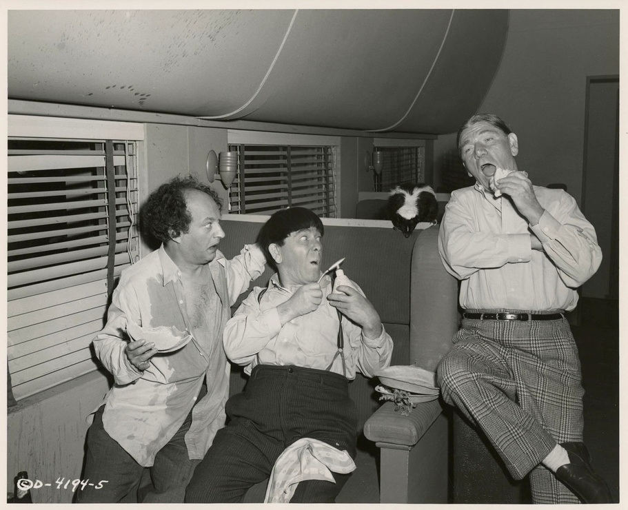 Larry Fine, Moe Howard, Shemp Howard