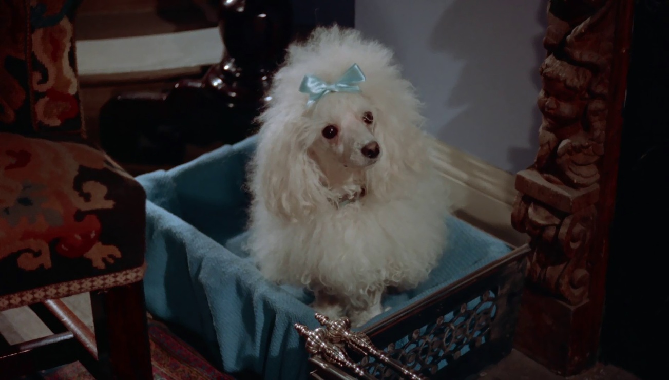 Picture of Beau Brummell