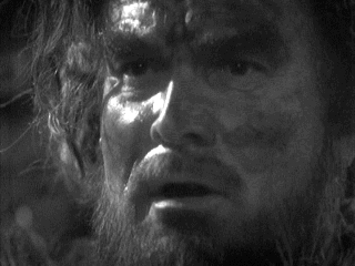 Picture of Howard Lang