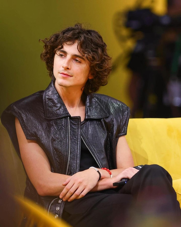 Picture of Timothée Chalamet