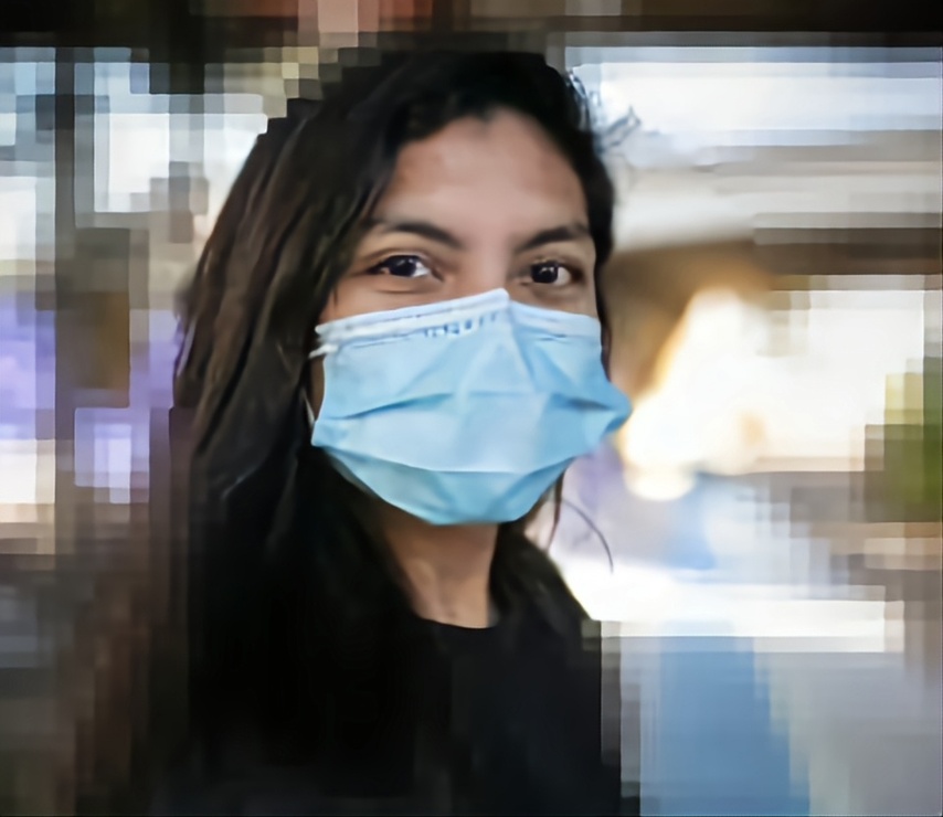 Nor Harlina Abd Hamid