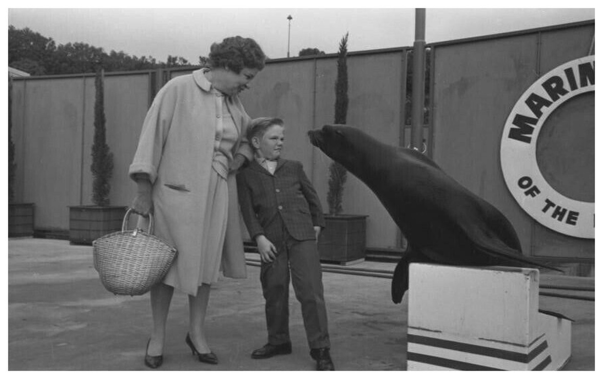 Shirley Booth, Bobby Buntrock