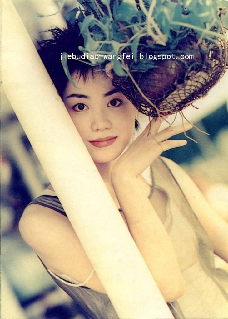 Picture of Faye Wong