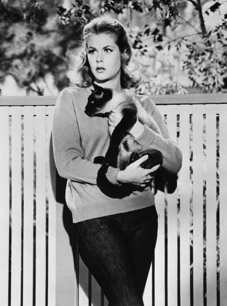 Picture of Elizabeth Montgomery