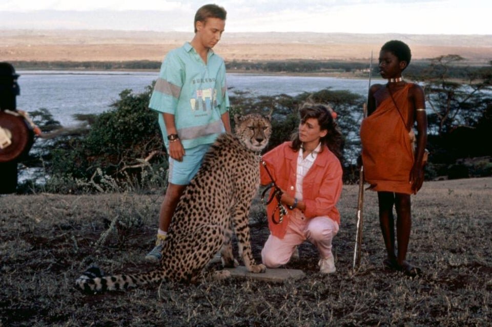 Picture of Cheetah (1989)