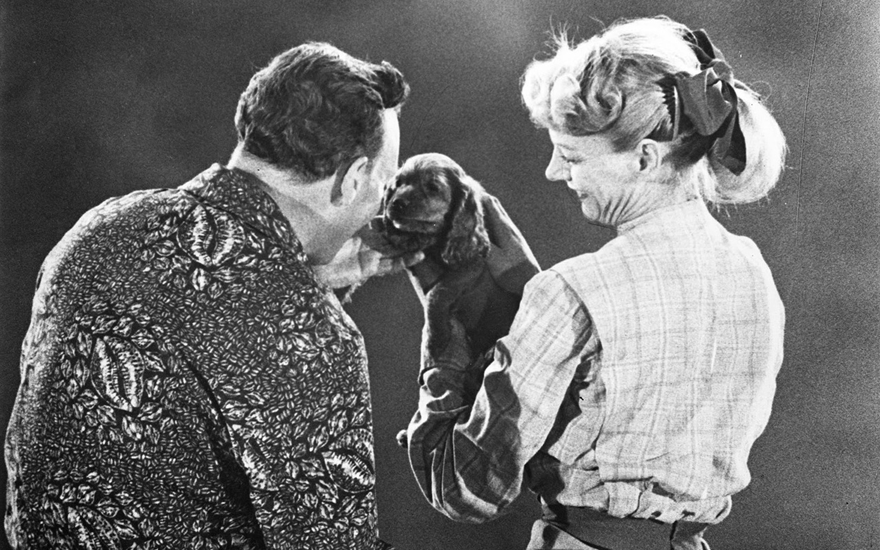 Picture of Lady and the Tramp