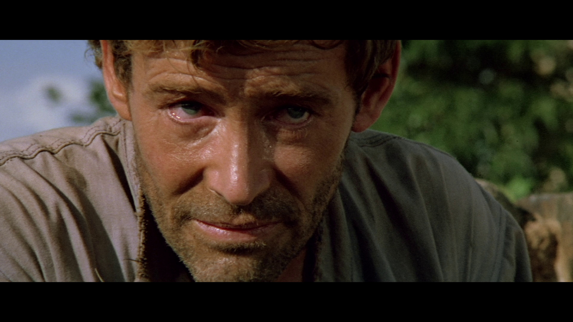 Picture of Murphy's War