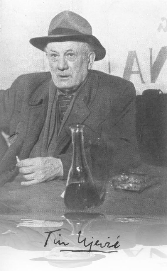 Picture of Tin Ujevic