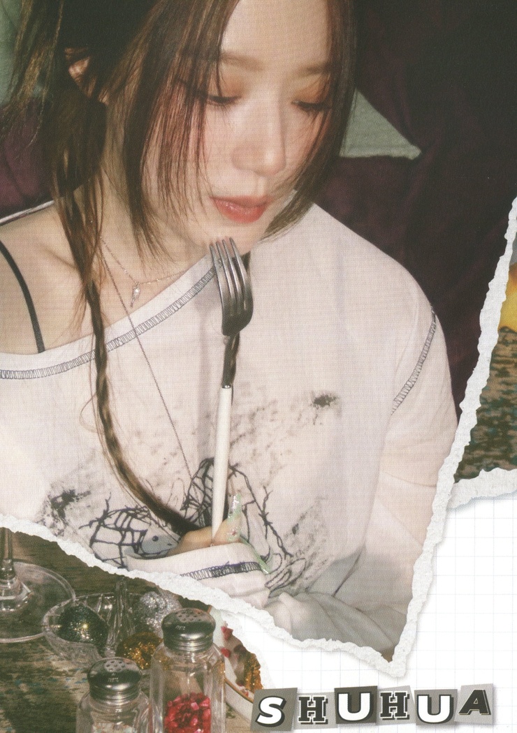 Picture of Yeh Shu Hua