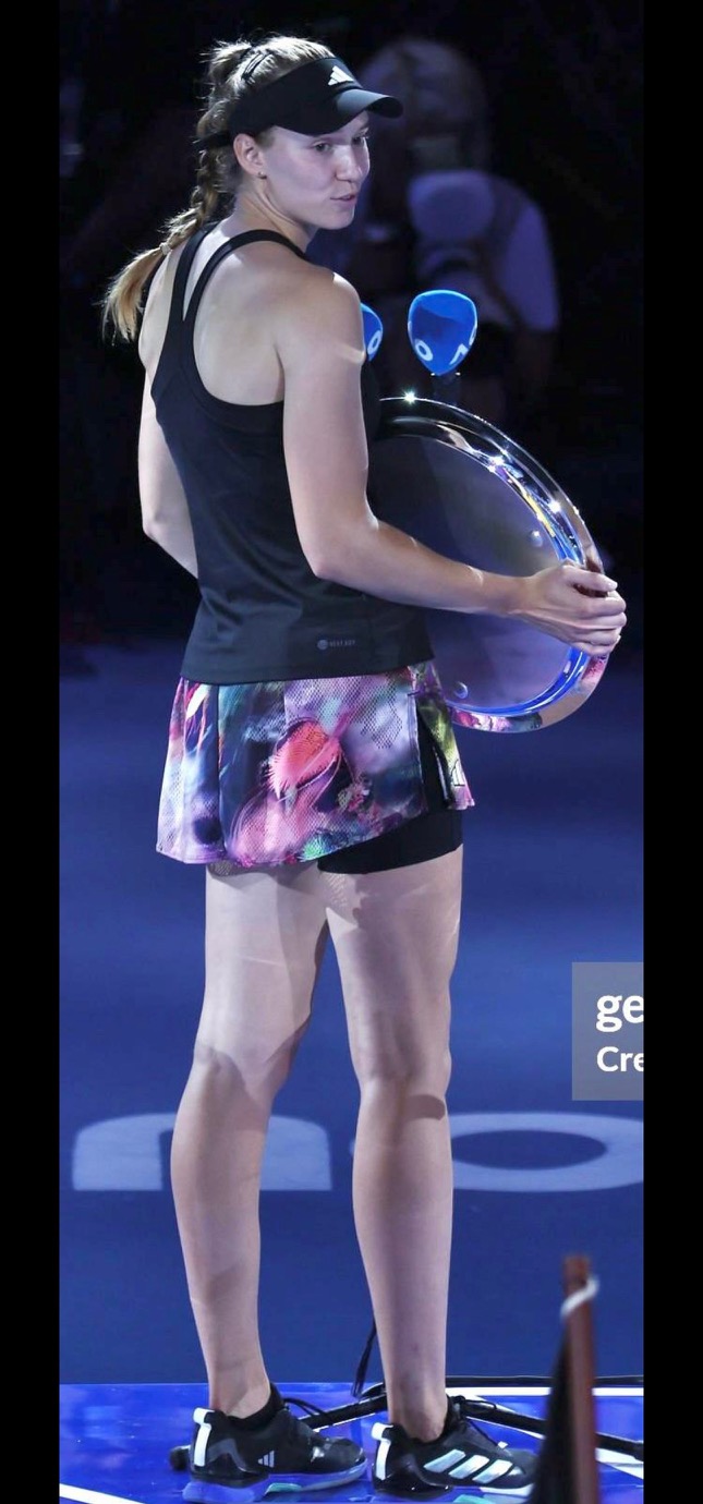 Picture of Elena Rybakina