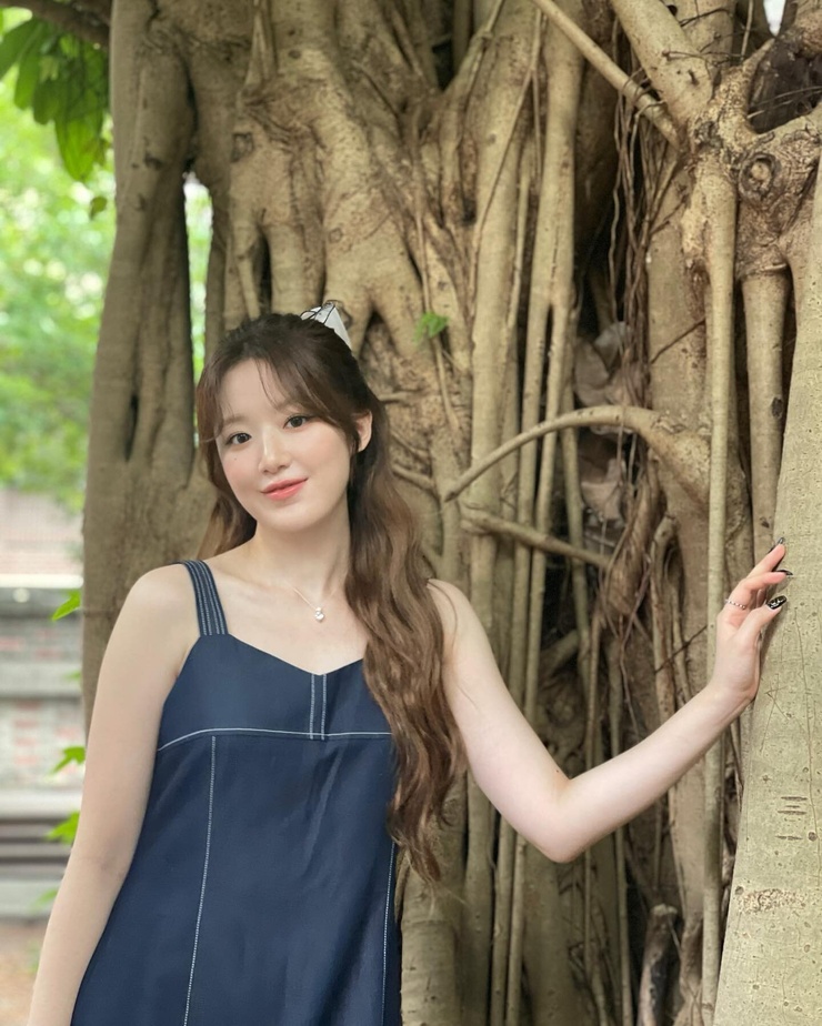 Picture of Yeh Shu Hua