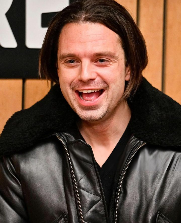 Picture of Sebastian Stan