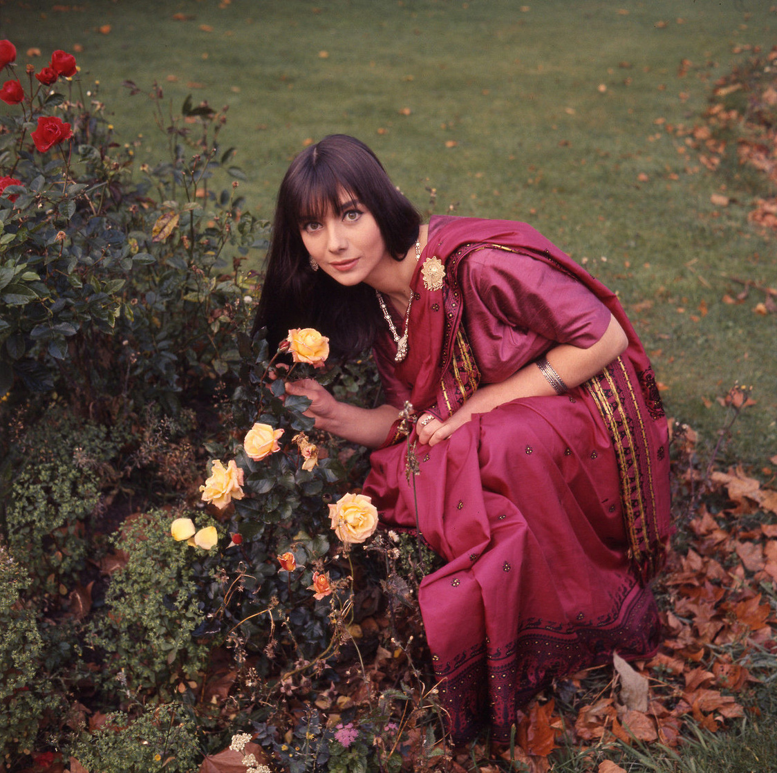 Picture of Jacqueline Pearce