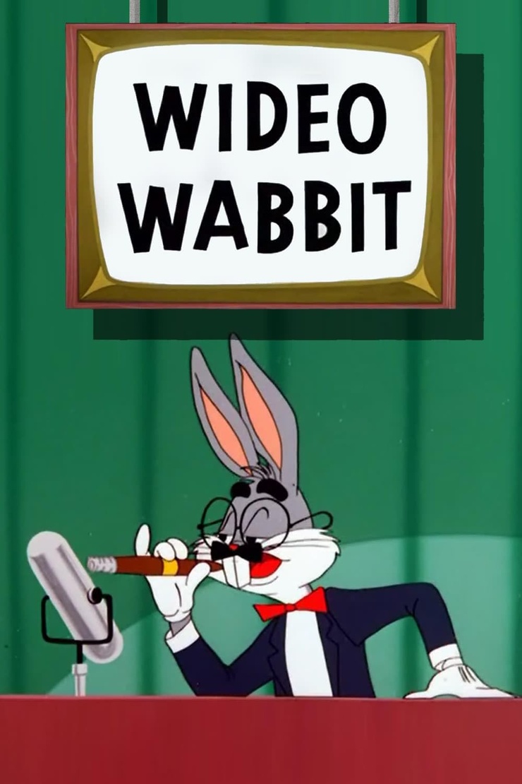 Picture of Wideo Wabbit