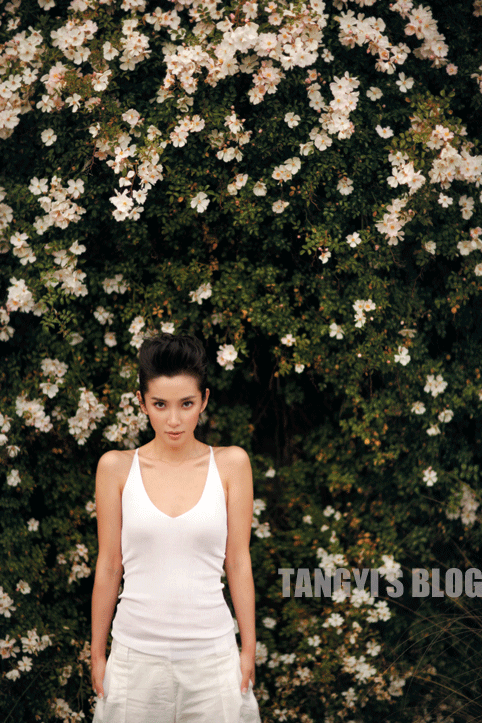 Picture of Bingbing Li