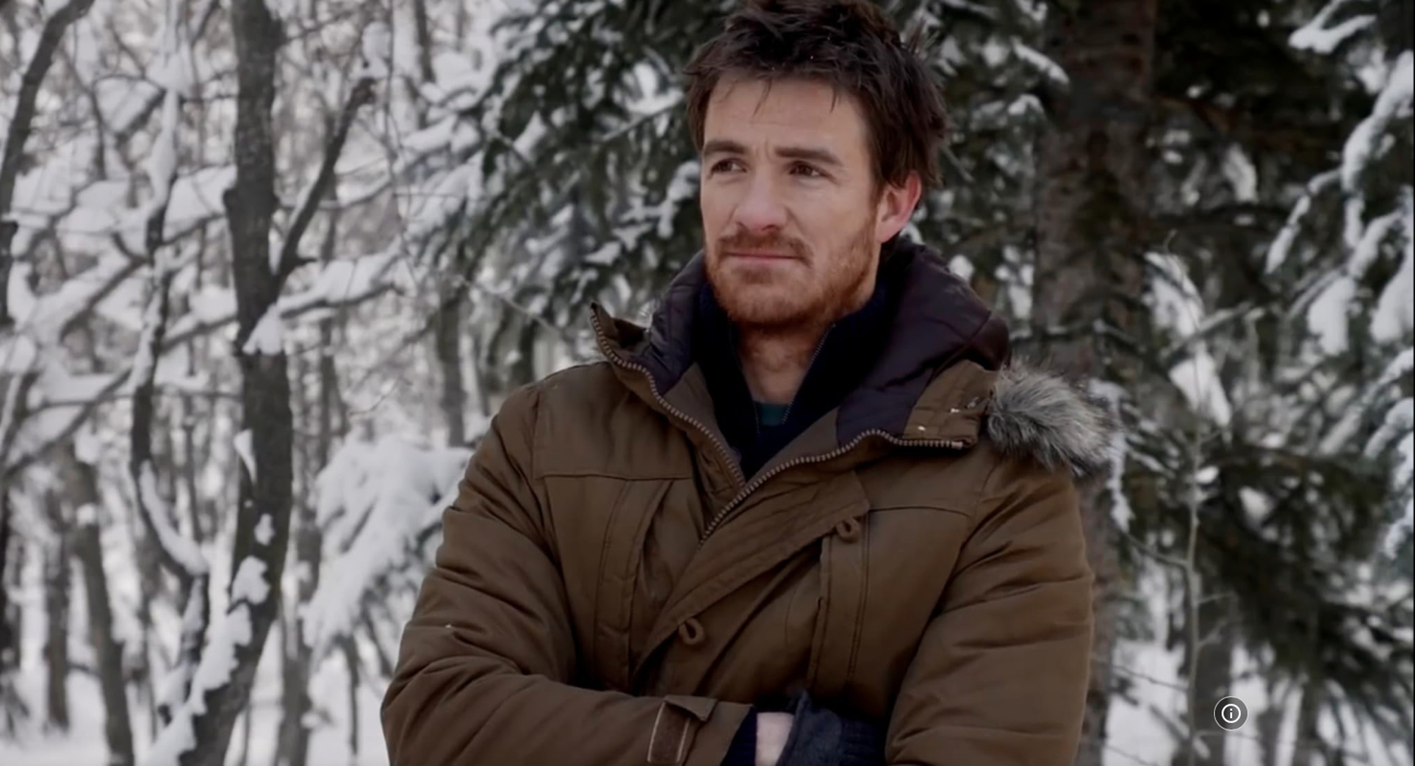 Picture of Beautiful Beast