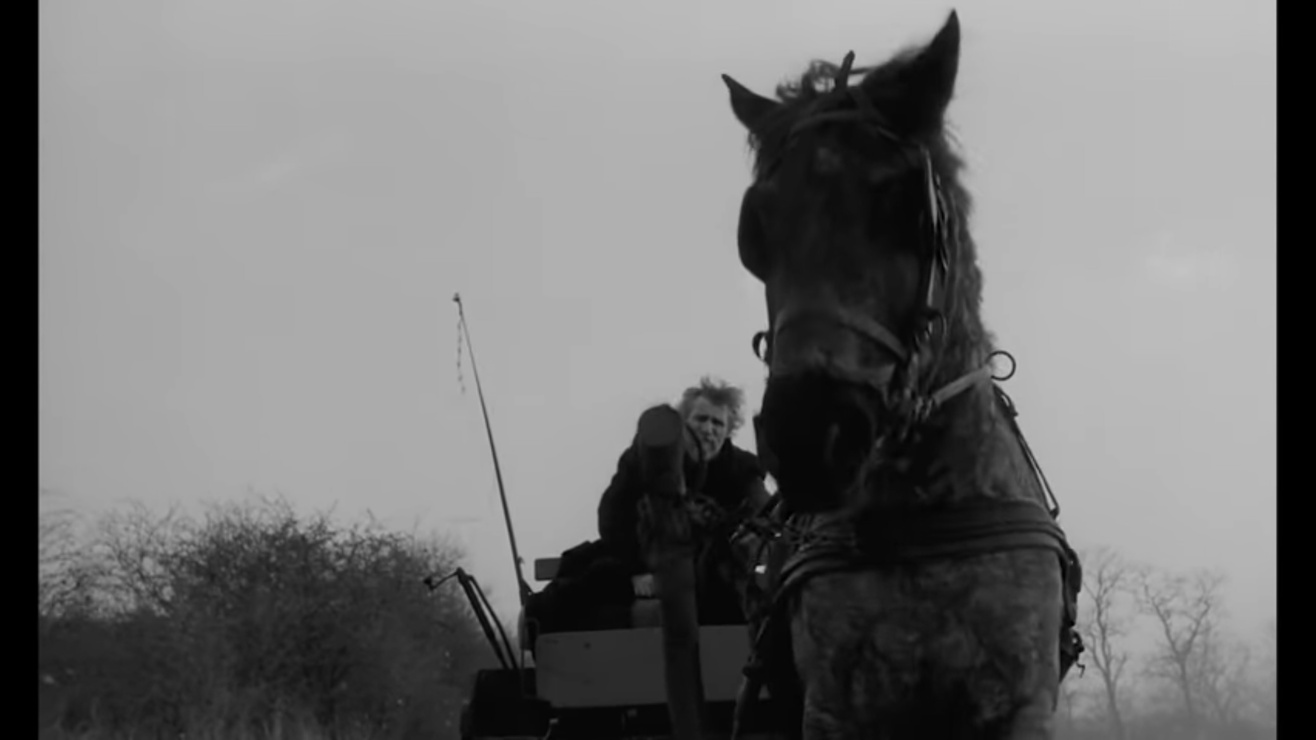 Picture of The Turin Horse (2011)